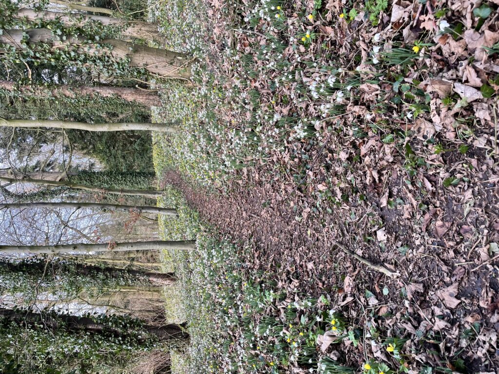 The Winter Garden | The Lexham Estate
