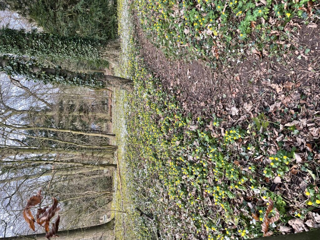 The Winter Garden | The Lexham Estate