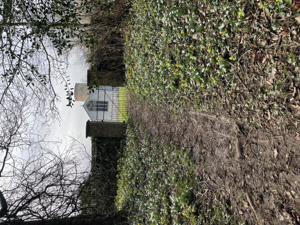 The Winter Garden | The Lexham Estate