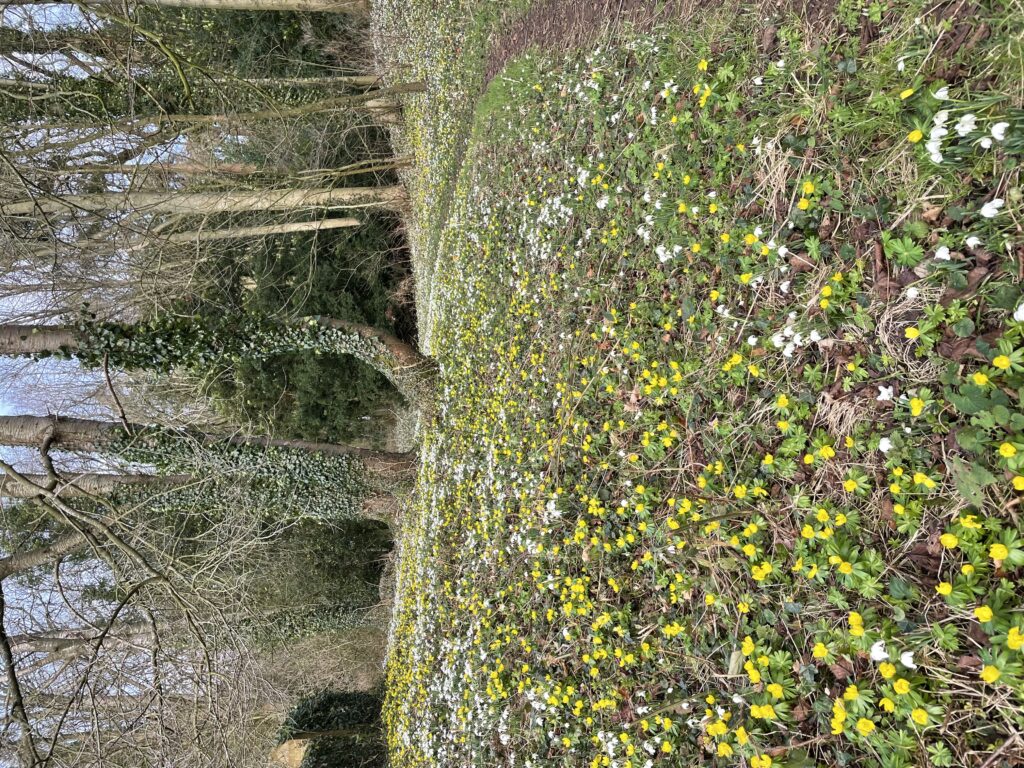 The Winter Garden | The Lexham Estate