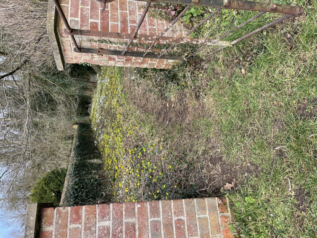 The Winter Garden | The Lexham Estate