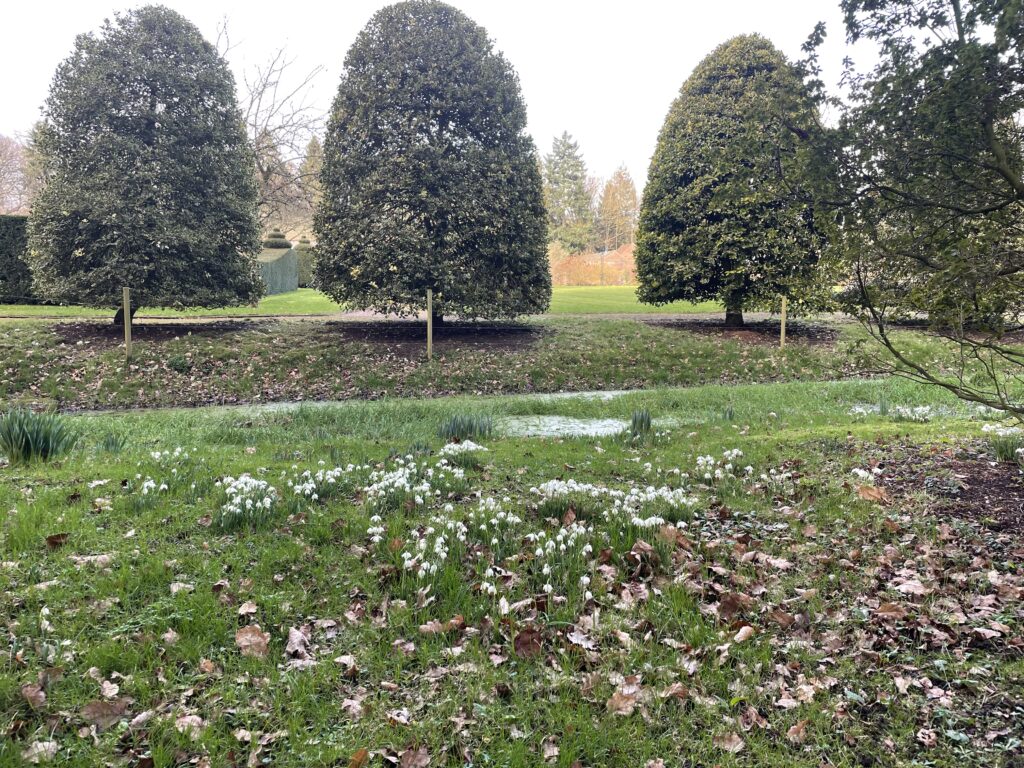 The Winter Garden | The Lexham Estate